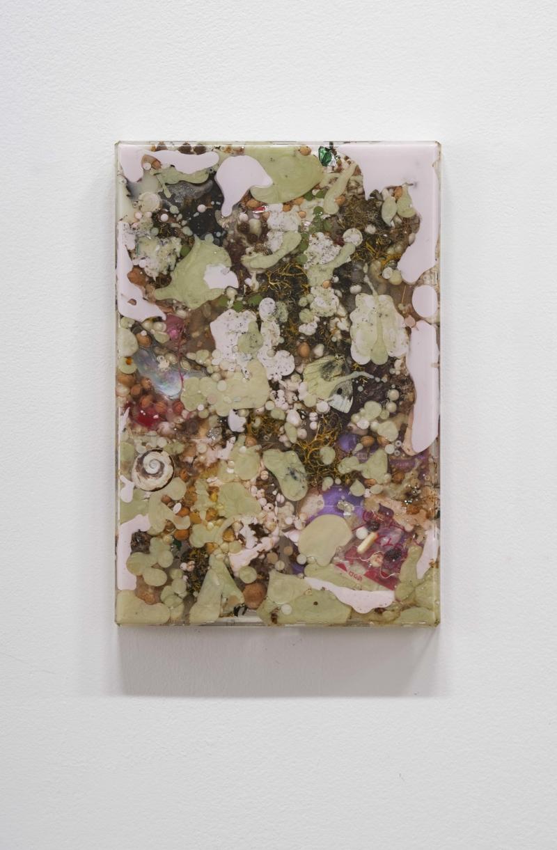 Mimosa Echard : « je veux que l'œuvre puisse avoir sa propre vitalité ...